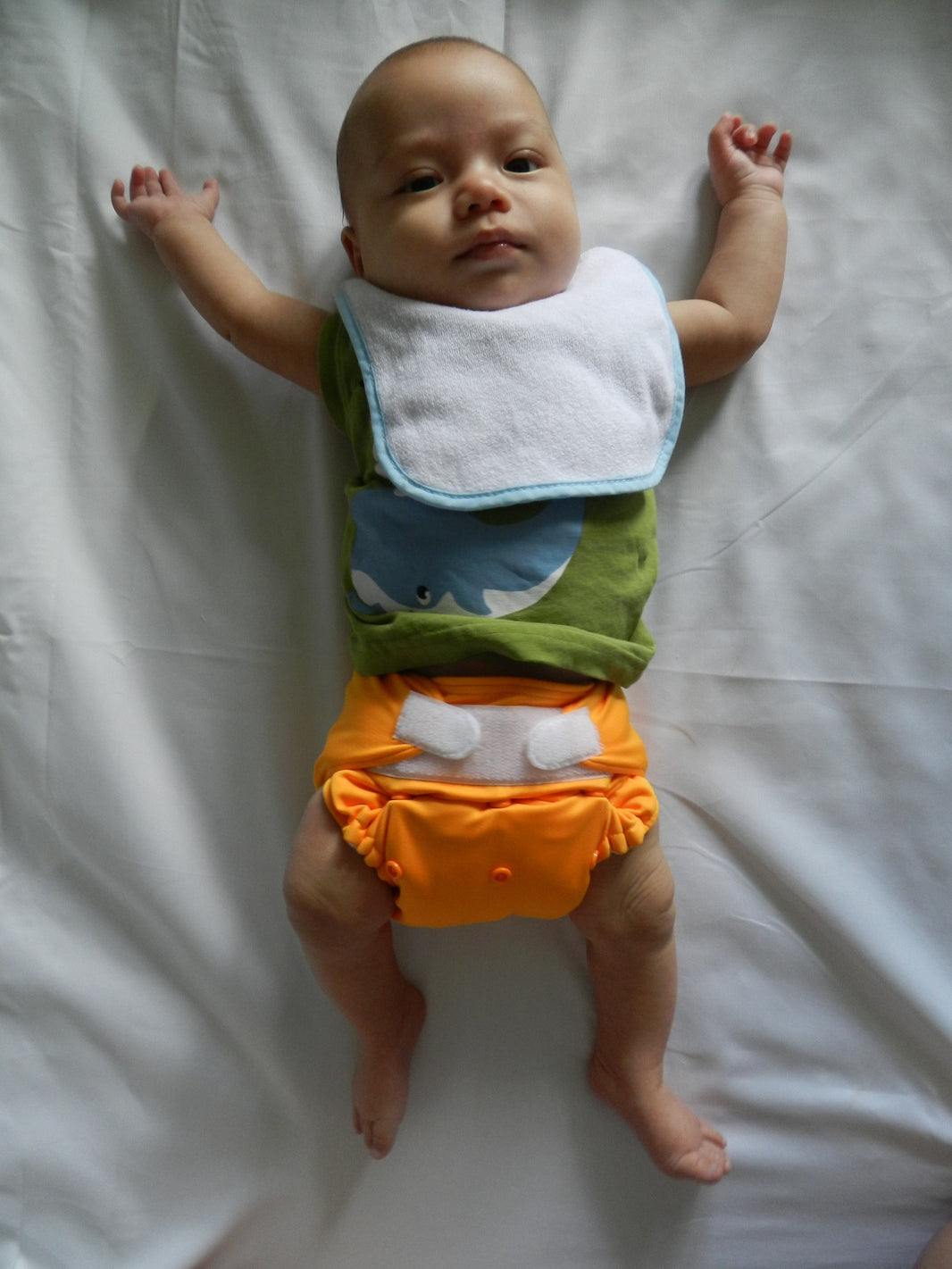 Cloth Diapers – Diaper Lab